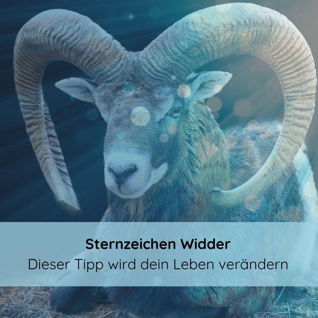 Sternzeichen Widder: Dieser Tipp wird dein Leben verändern